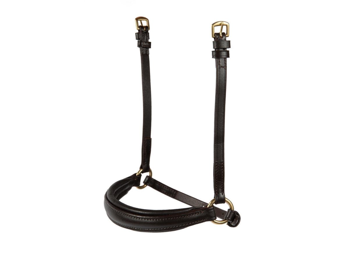 Hans Melzer Reithalfter hannoversch braun/messing, 35,90